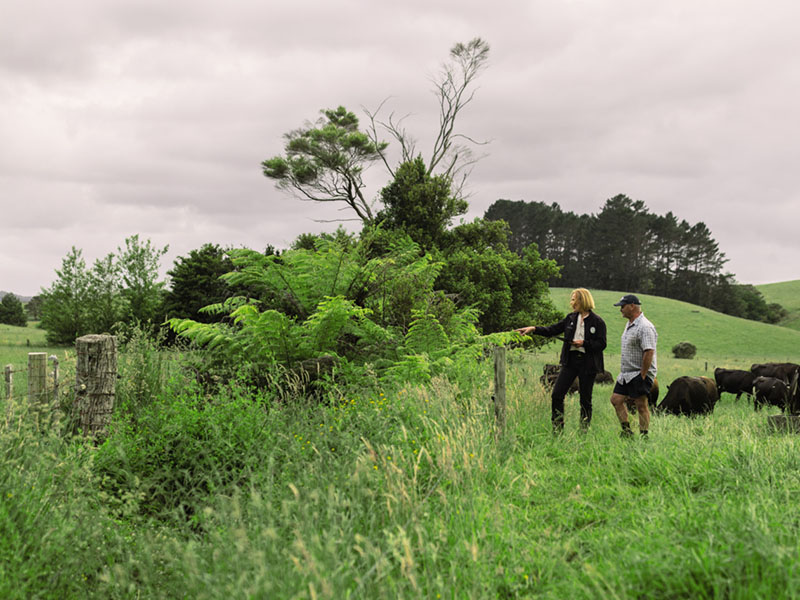Individual farm-level data is driving change | NZMP.com