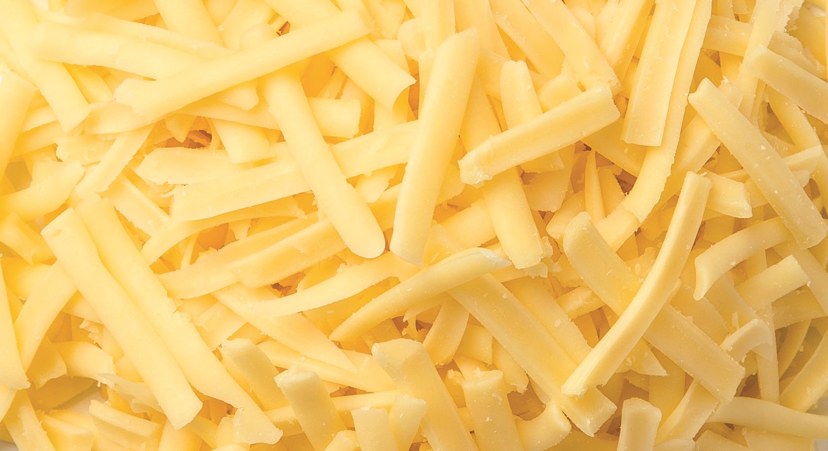 Repack Cheese - Ingredients & Products | NZMP.com